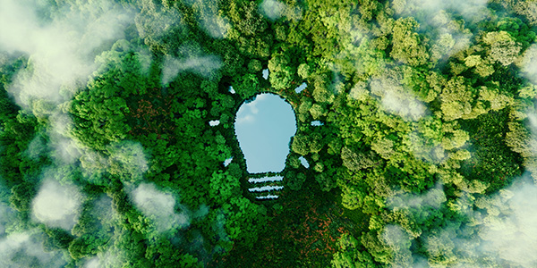 Sustainable Lighting: A Guide to Eco-Friendly LED Retrofit